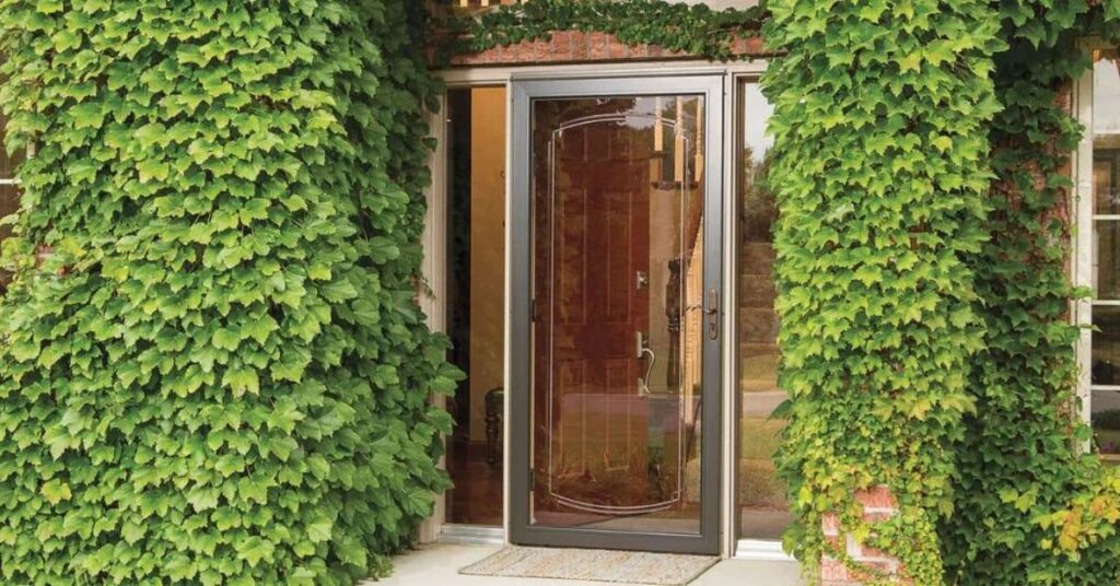 Understanding The Different Types of Storm Doors | AAA Screen and Window